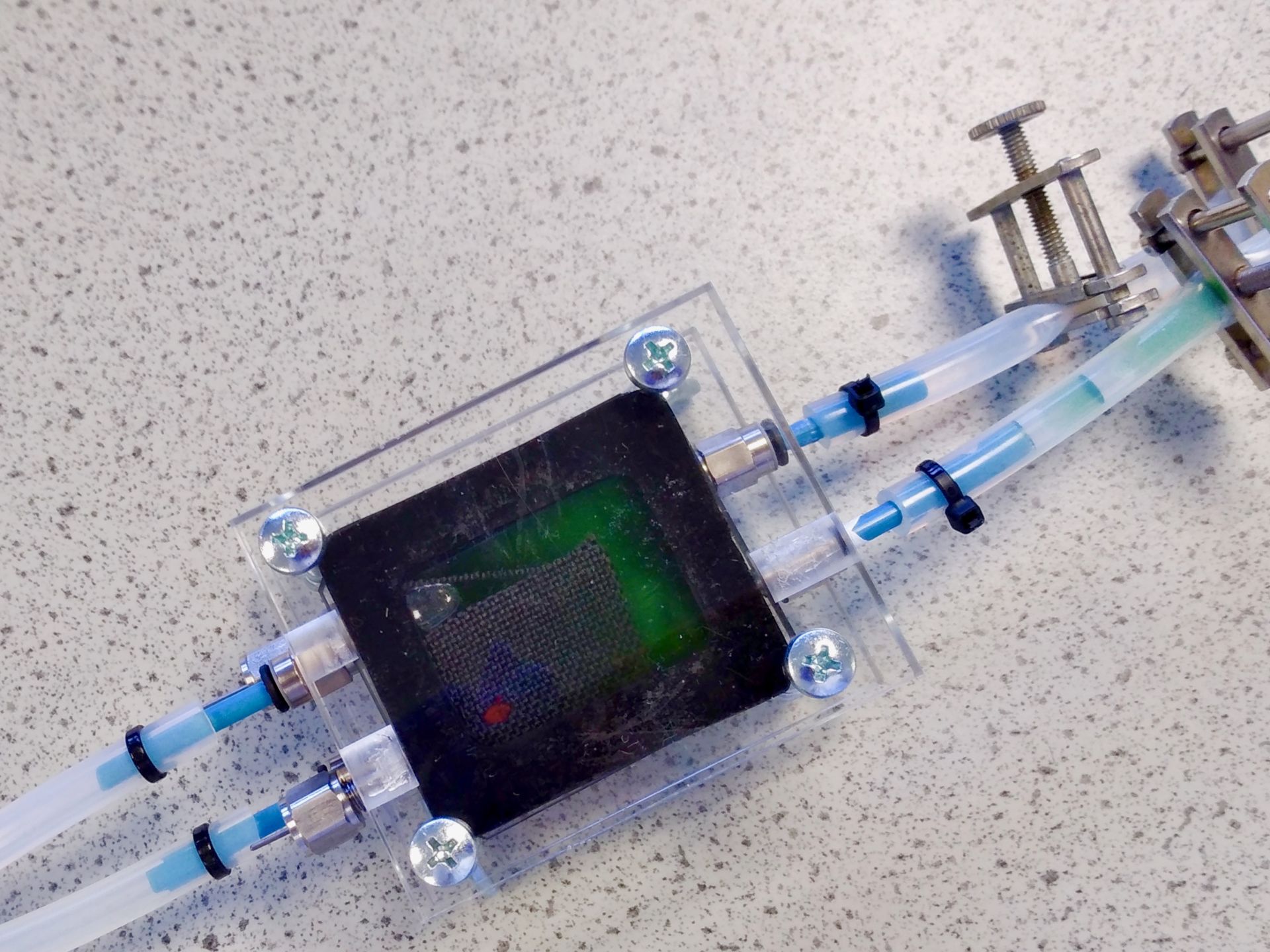 Biological Photovoltaics and Sustainability: Research in Focus - NBIC