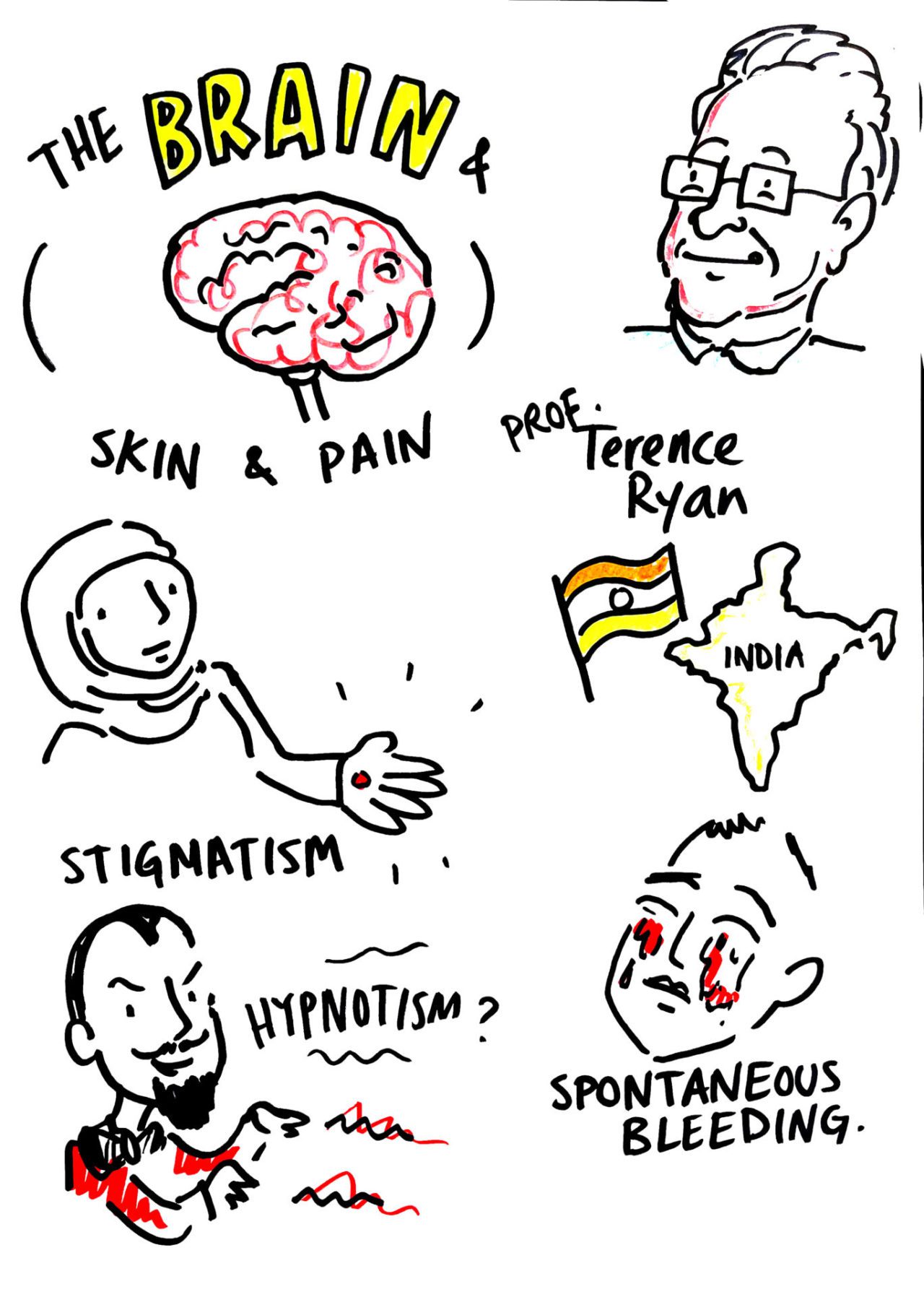 Skin Health and Mental Wellbeing Project - NBIC