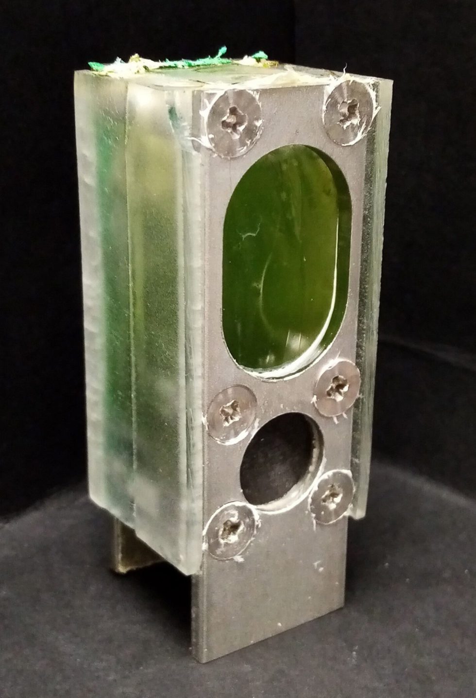 Algae-powered computing - Noticeboard News - NBIC